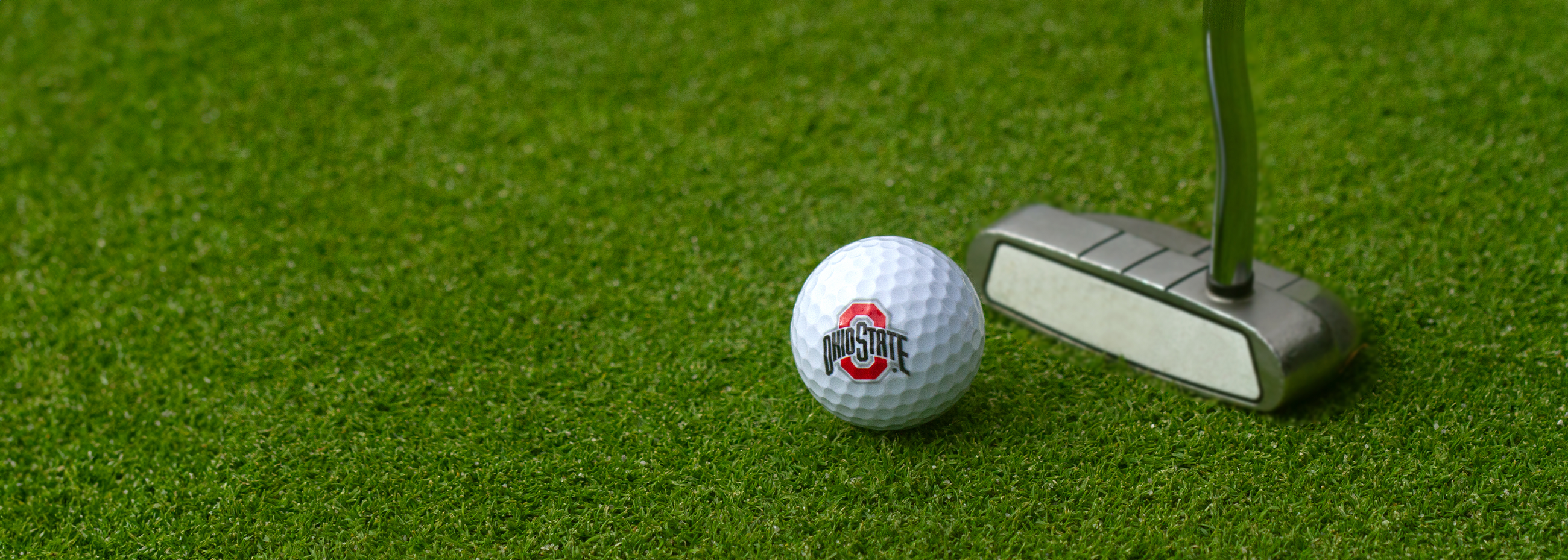 NFL, NHL and Collegiate Licensed Golf Accessories | Team Golf USA